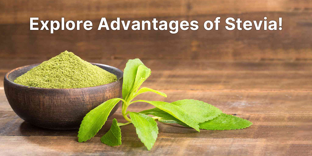 Explore Different Health Benefits & Risks of Stevia – thenaturnestindia